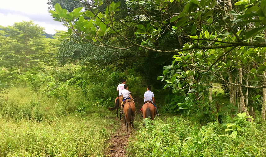 The Llanos Orientales: Colombia’s Magical Diamond in the Rough Uncover ...
